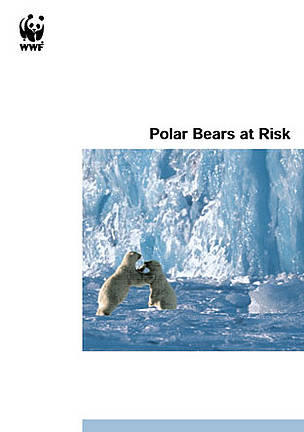 Polar Bears at Risk | WWF