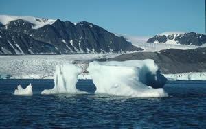 Climate change hitting Arctic faster, harder | WWF