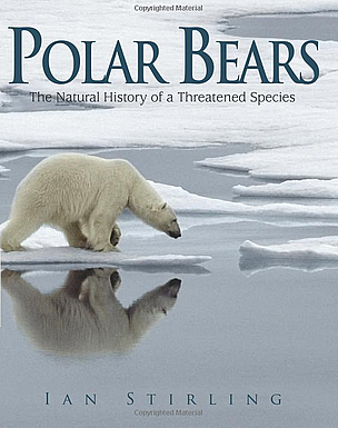 New book celebrates the natural history of polar bears | WWF