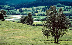 Conservation network expands throughout Europe | WWF