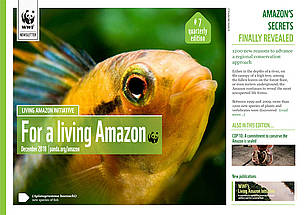 Living Amazon Initiative Newsletter - 7 | WWF