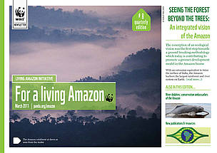 Living Amazon Initiative Newsletter - 8 | WWF