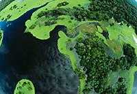 Students raise funds for the Amazon | WWF