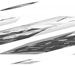 Rapid climate change and the sea ice ecosystem | WWF