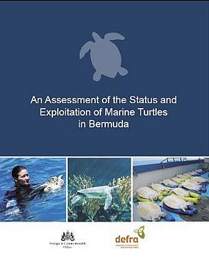 An Assessment of the Status and Exploitation of Marine Turtles in ...