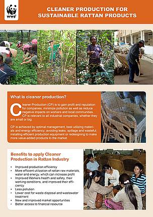 FACTSHEET: Cleaner Production for Sustainable Rattan Products (English ...