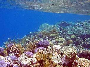 Gillard Government Rio+20 oceans announcement a welcome investment in ...