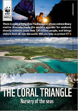 BROCHURE: WWF Coral Triangle programme | WWF