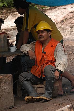 Community Based Forest Enterprises in Latin America, Africa and Asia ...