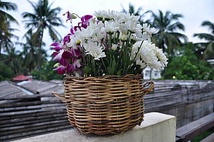 Sustainable Rattan from Laos Reaches International Markets | WWF