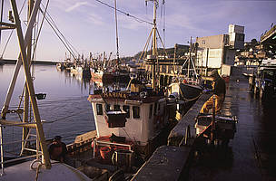 Neglected UK seas catch break with new legislation | WWF