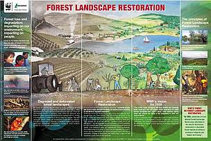 WWF Forest Landscape Restoration Poster - small version | WWF