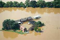 Danube floods the result of mismanagement | WWF