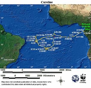 Caroline: map locator 40 | WWF