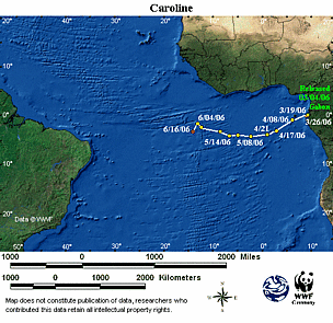 Caroline: map locator 3 | WWF