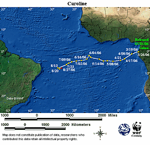 Caroline: map locator 11 | WWF