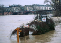 Managing floods in Europe | WWF