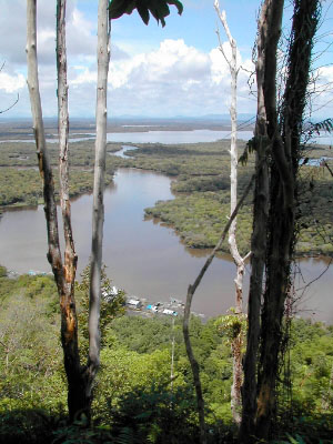 INDONESIA - Establishment of 1.3 million hectares of Protected Areas ...