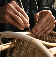 Sustainable rattan harvesting benefits life in Laos | WWF