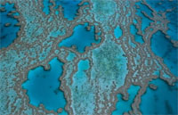 New plan for Great Barrier Reef a stunning achievement | WWF