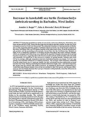 Increase in hawksbill sea turtle nesting in Barbados, West Indies | WWF