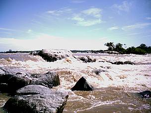 More studies needed for Amazon dams | WWF