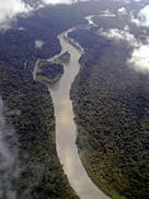 Kikori Basin, Papua New Guinea | WWF