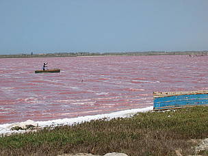 Le Lac Rose, un diamant à préserver | WWF