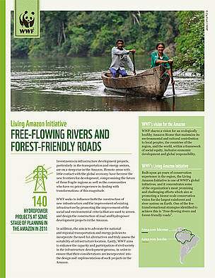 Living Amazon Initiative: Free flowing rivers and forest friendly roads ...