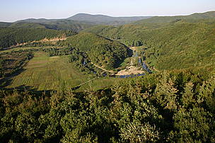 Good and bad sides of Bulgaria's new Forest Act | WWF