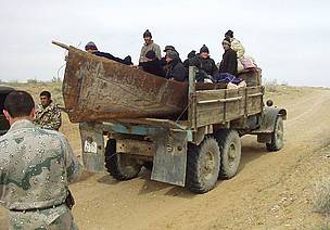 Illegal tree loggers arrested in Uzbekistan | WWF