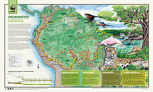Infographic: The Living Amazon Initiative | WWF