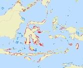 Problems in the Coral Triangle | WWF