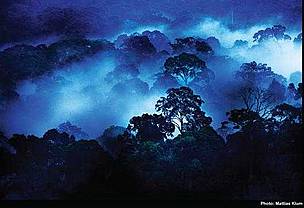 It's time for another Living Planet Series, join us! | WWF