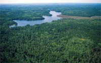 Tembec's five-million-acre forest certification is largest in Canadian ...