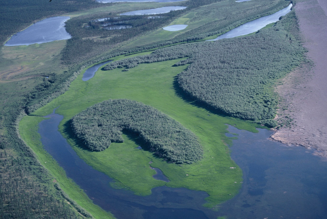 Gold of Yakutia Republic | WWF