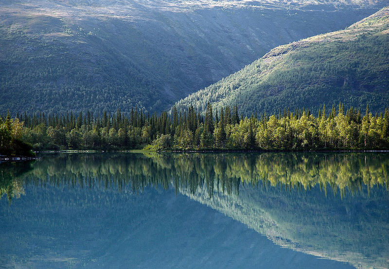 Earth Hour Seeks Law Reform For Protective Forests In Russia | WWF