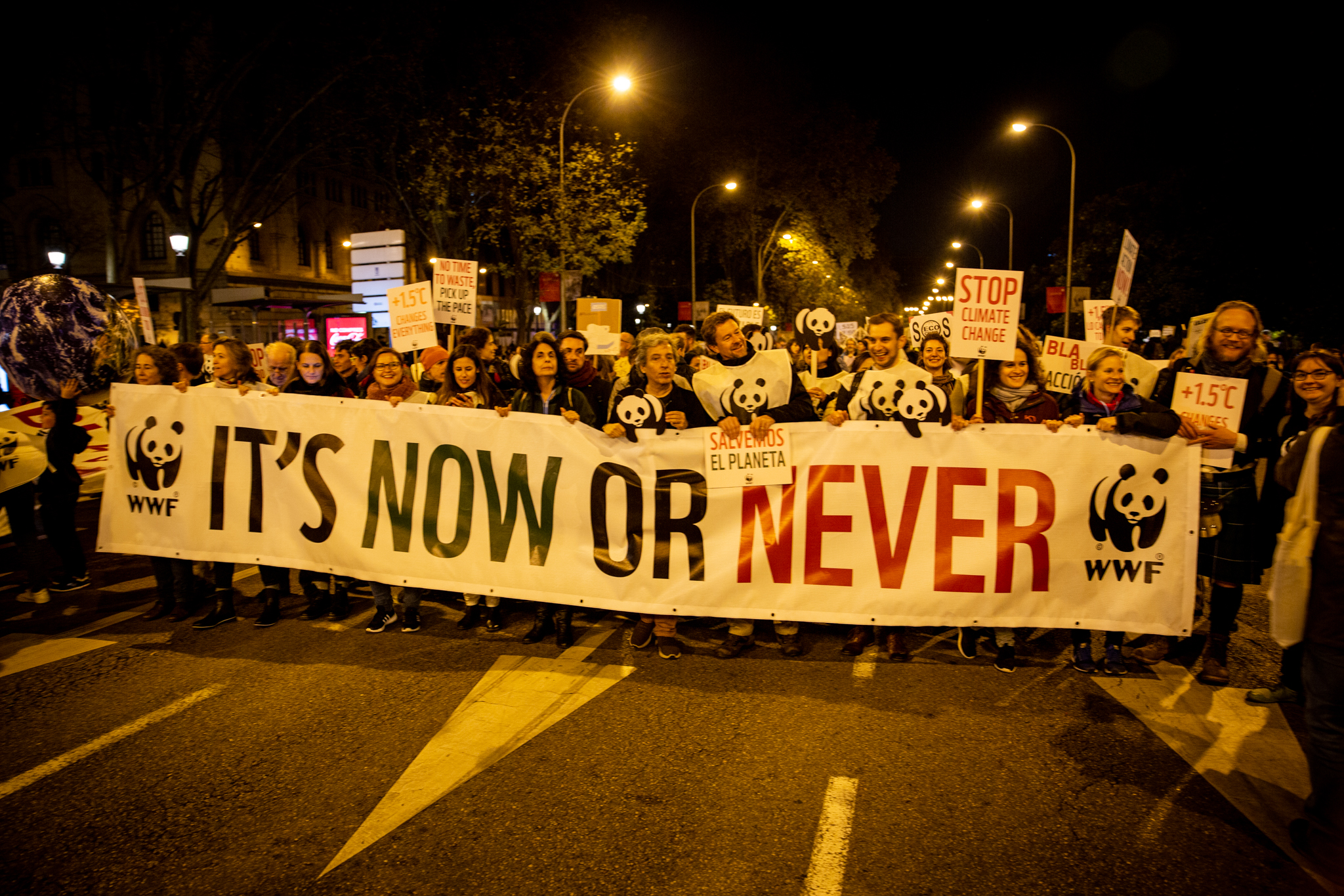 WWF’s Ambition Vision for 2020 and beyond | WWF