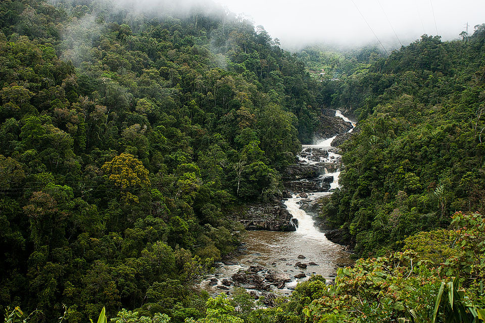 COP25 - A critical meeting to save nature and climate | WWF