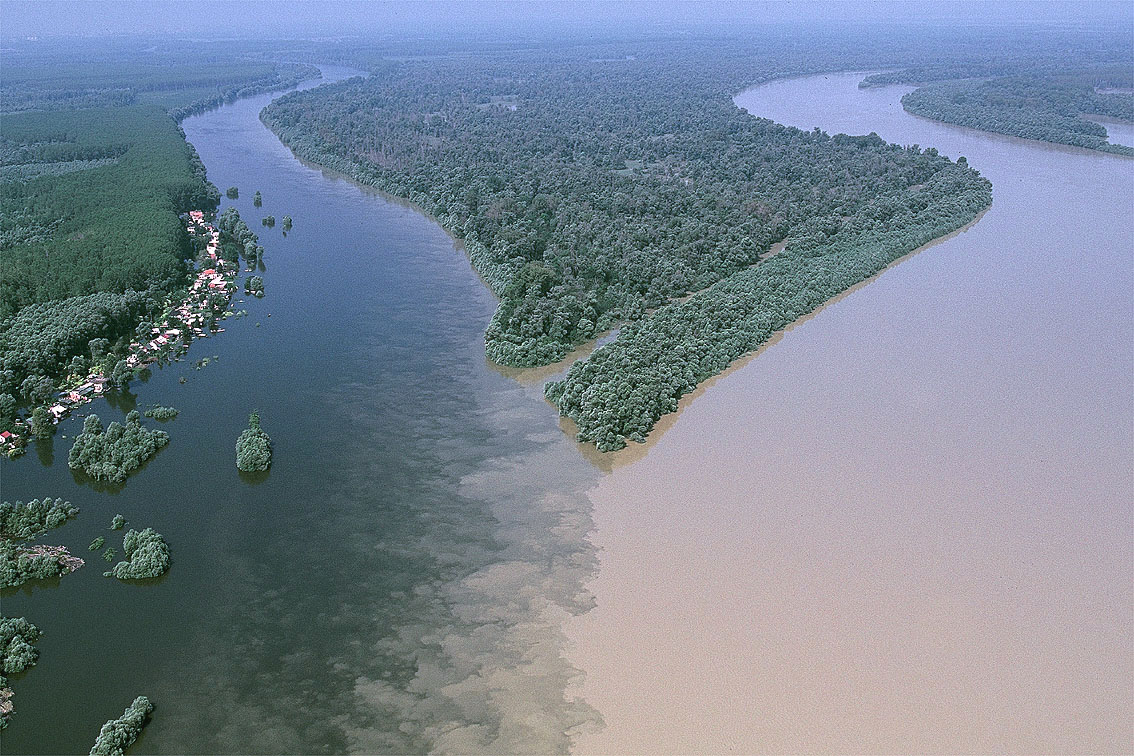 Croatia s Accession To The EU Time To Halt Danube s Destruction WWF croatia-s-accession-to-the-eu-time-to-halt-danube-s-destruction-wwf