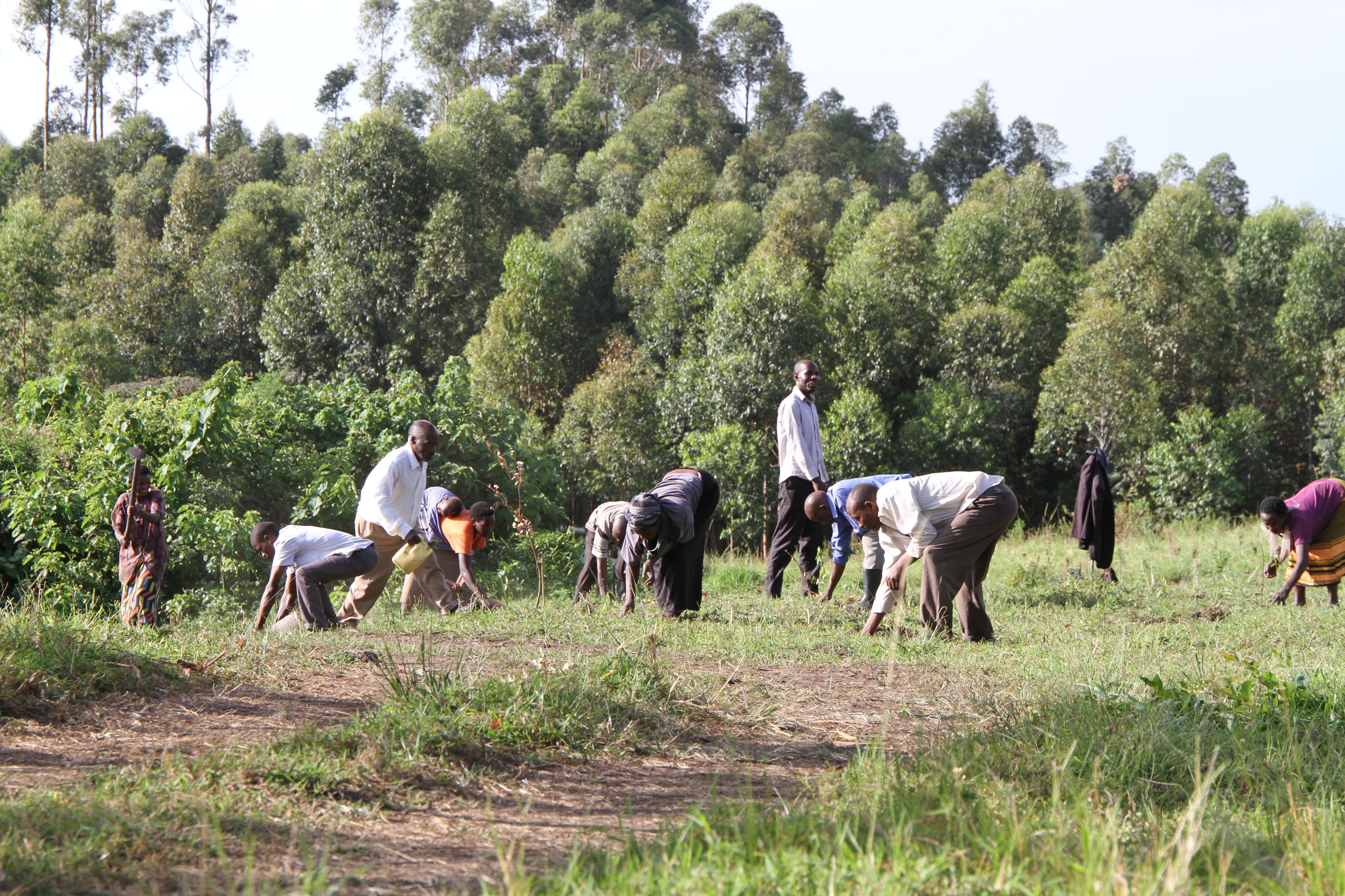 Engaging Local Communities in Collaborative Forest Management Paying ...