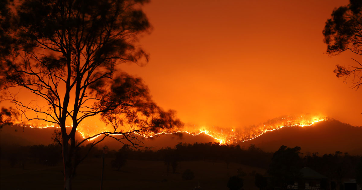 Recuento Del Costo De La Tr gica Crisis De Incendios Forestales En Recuento Del Costo De La Tr gica Crisis De Incendios Forestales En