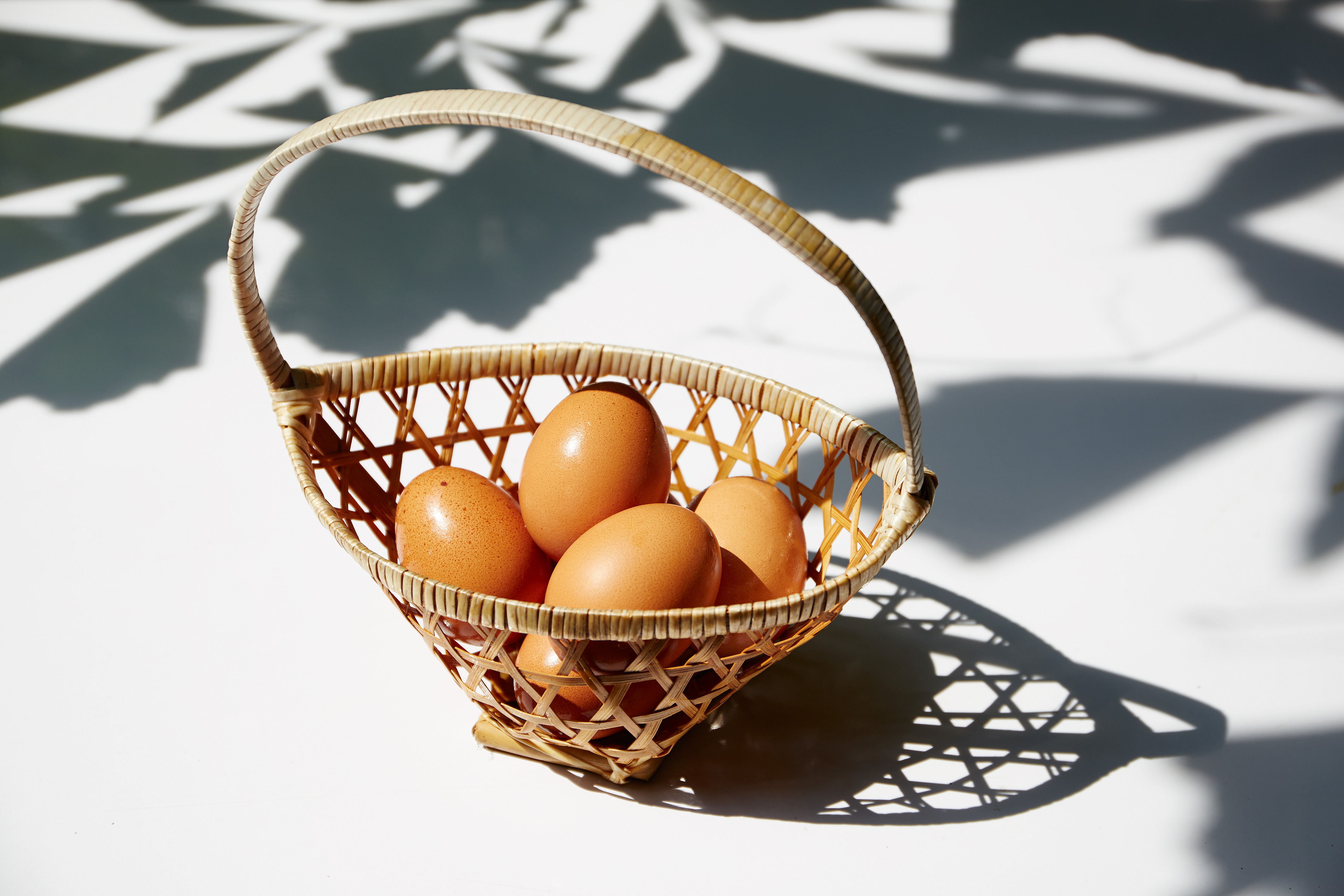 คุกกี้กล้วยตาก | WWF