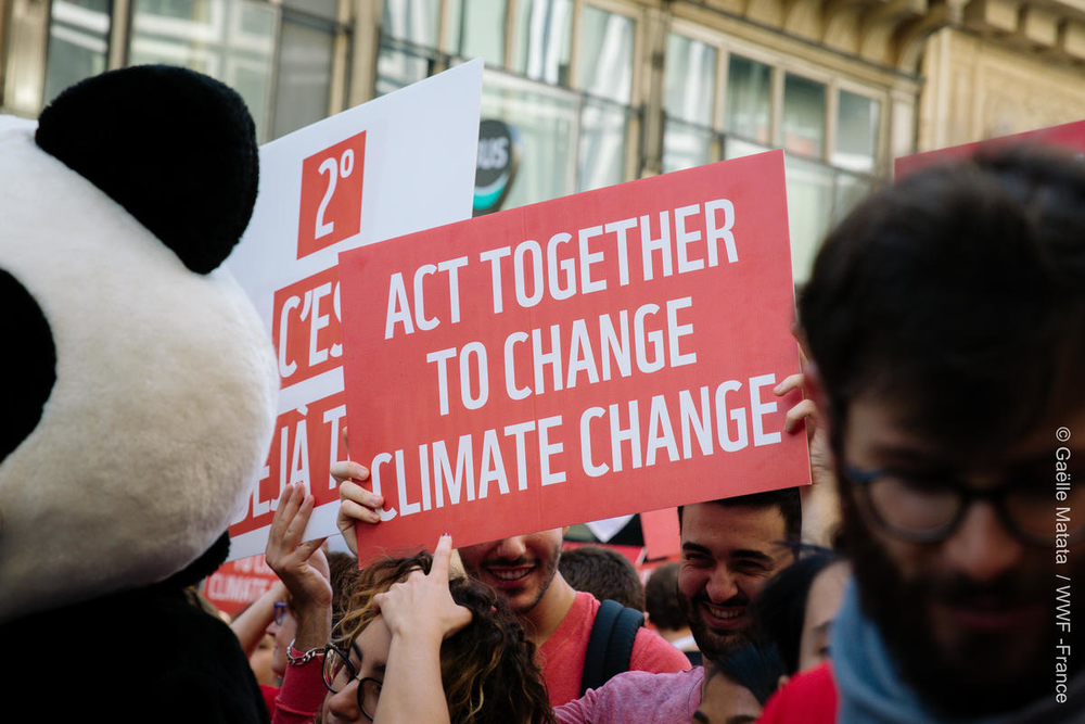 Climate action cannot be a tradeable priority in 2020 | WWF