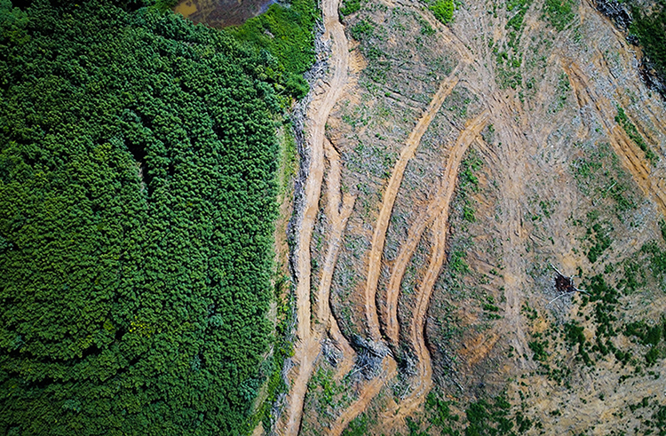 European Commission publishes long-awaited plan to address EU impact on ...