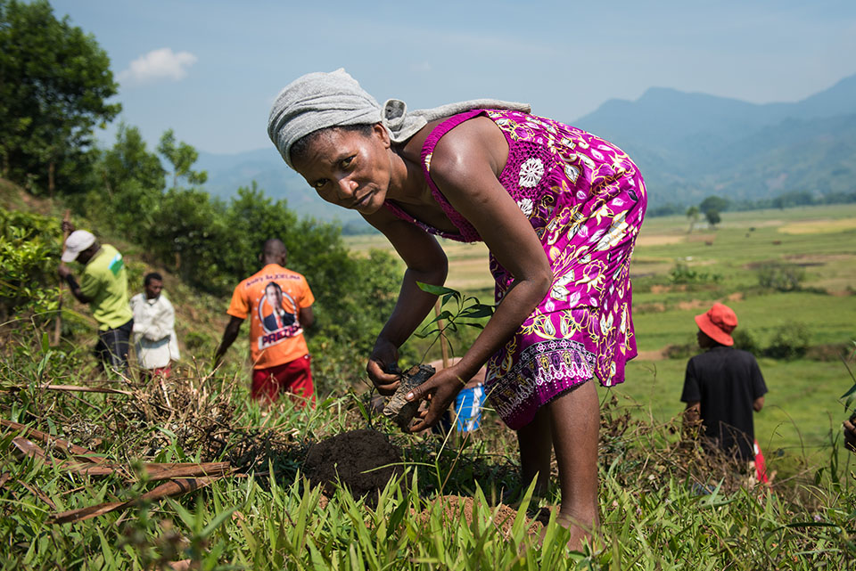 Le Simpona, joyau de la restauration durable des forêts dans les Hautes ...