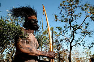 A conservation vision: Protecting New Guinea’s TransFly | WWF