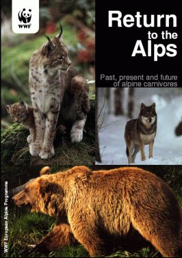 Report on the conservation status of alpine predators | WWF