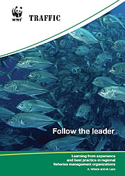 Follow the leader: Learning from experience and best practice in ...