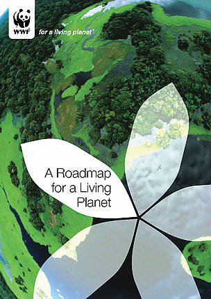 Our conservation strategy: future & past | WWF